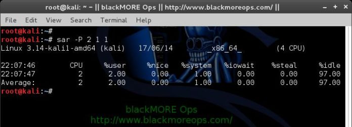 How To Use Sar For Monitoring Your Linux System Sysstat Sar Examples And Usage Blackmore Ops