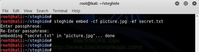 steganography-in-kali-linux-hiding-data-in-image-blackmore-ops